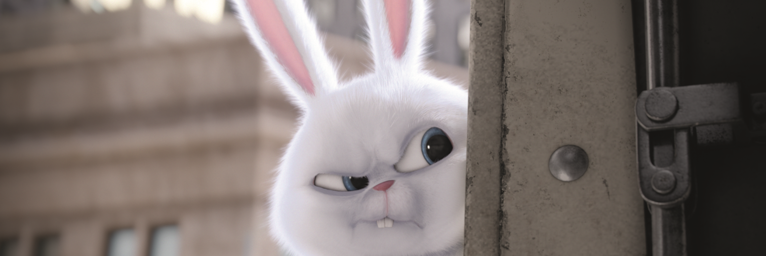 The Secret Life Of Pets - Broadway Cinema & Theatre, Letchworth