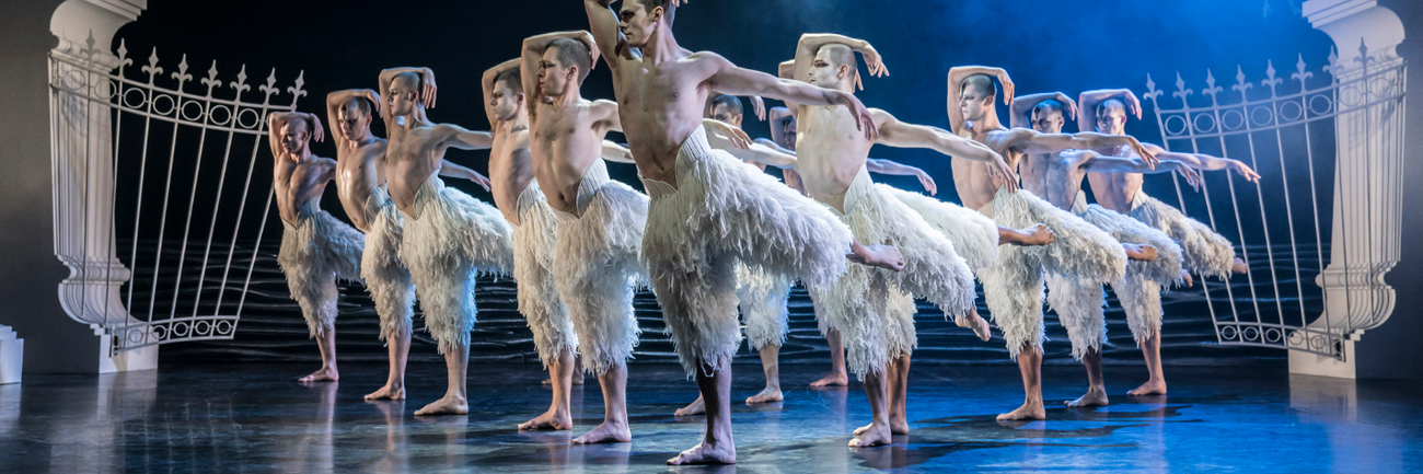 Matthew Bourne's Swan lake - Broadway Cinema & Theatre, Letchworth
