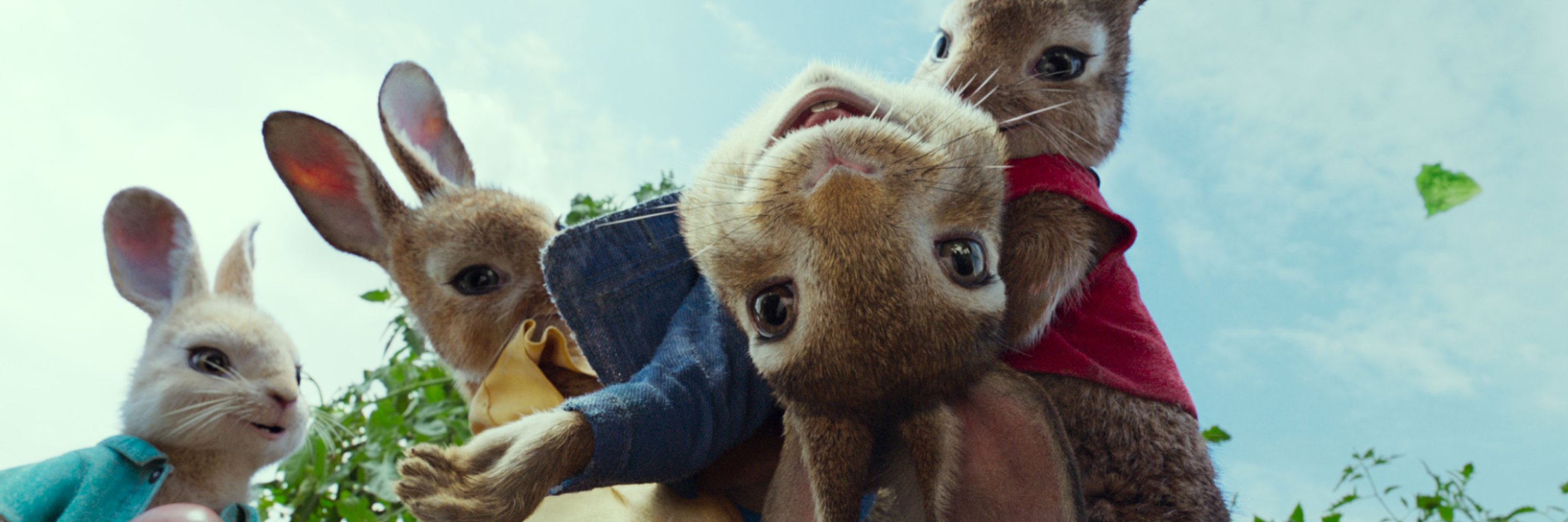 Peter Rabbit - Broadway Cinema & Theatre, Letchworth