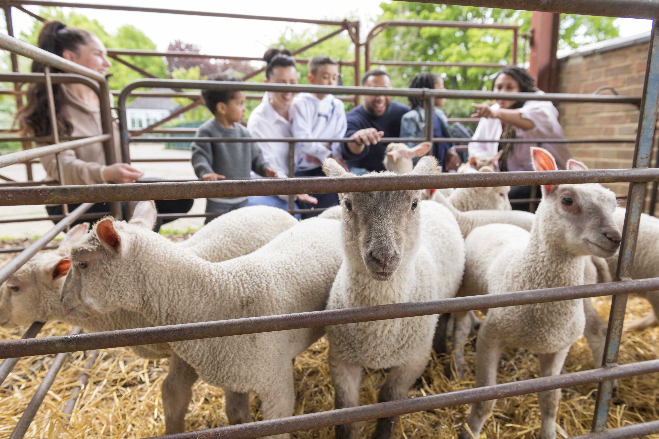 Sister Venues | Independent Cinema & Theatre in Hertfordshire ...