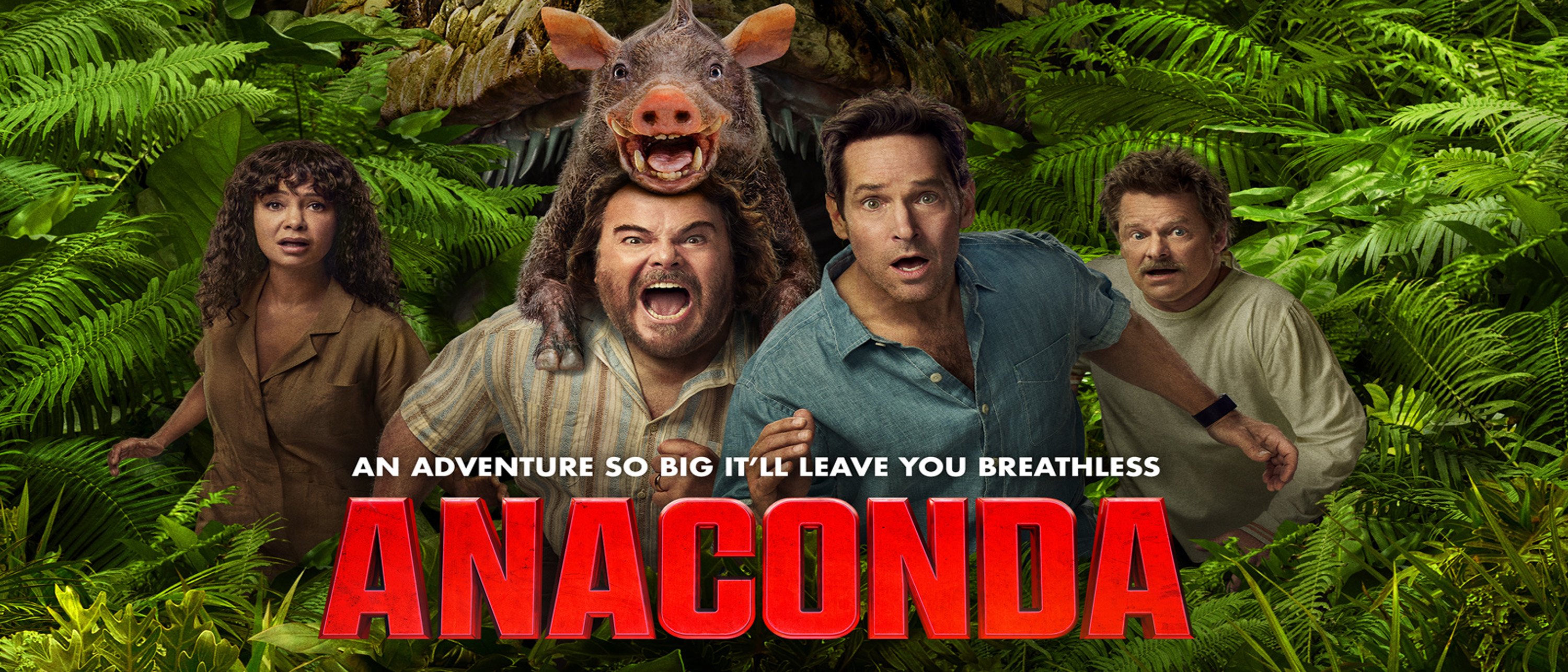 Cinema| Independent Cinema & Theatre in Hertfordshire - Broadway Cinema ...