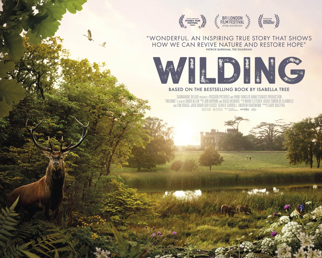 Screen 4 - Broadway Cinema & Theatre, Letchworth